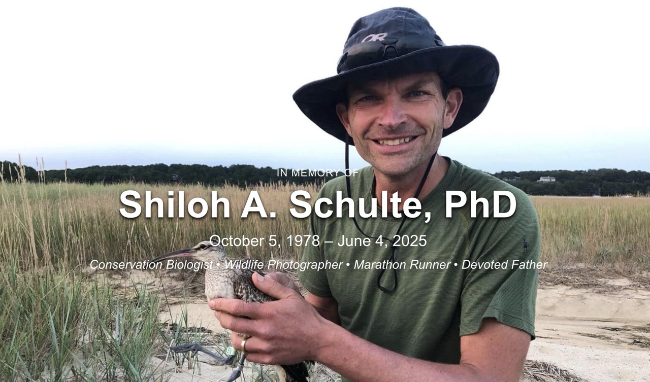 Shiloh A. Schulte, PhD Memorial